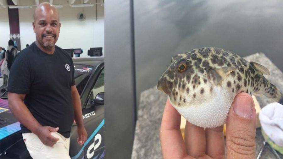 Homem morre envenenado após comer peixe baiacu; saiba os riscos - Brasil
